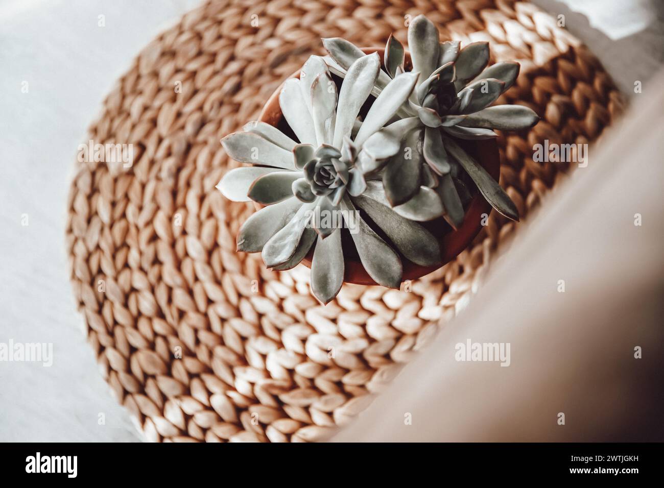 Modern flower pot hi-res stock photography and images - Alamy