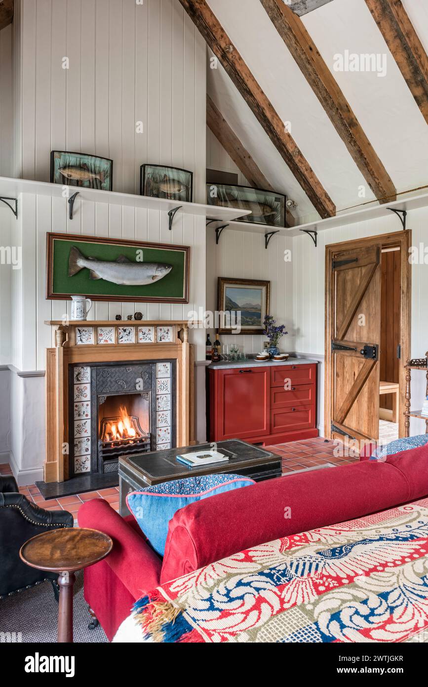 Taxidermy fish uk hi-res stock photography and images - Alamy