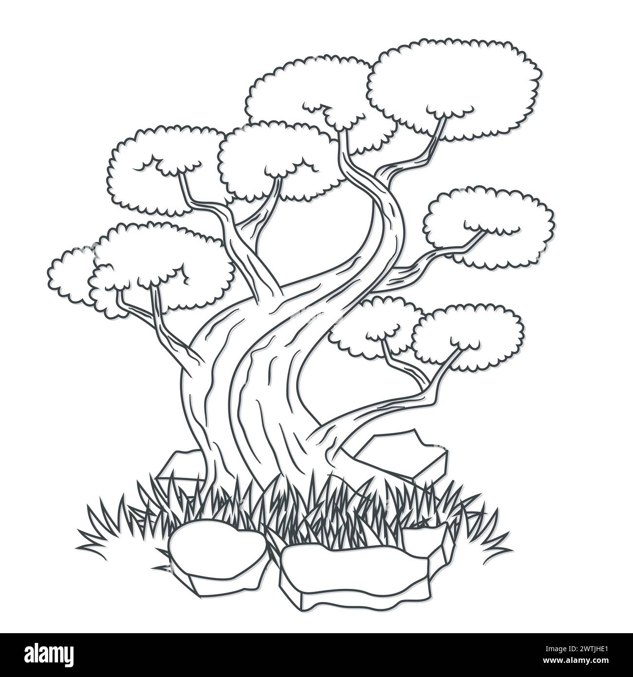 Beautiful Bonsai Tree Isolated Outline, Vector Illustration Stock ...