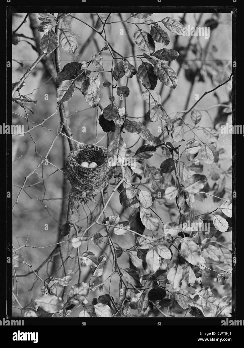 Now dry Black and White Stock Photos & Images - Alamy