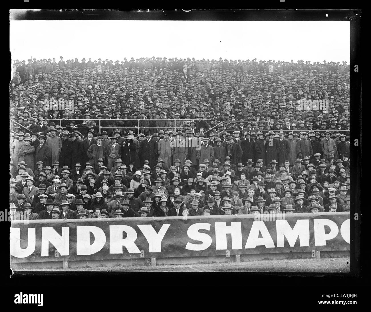 White crowd rugby hi-res stock photography and images - Alamy