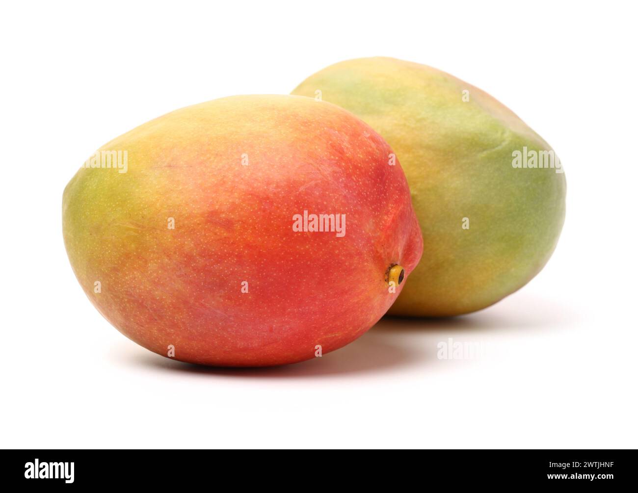 Mango on a white background Stock Photo - Alamy