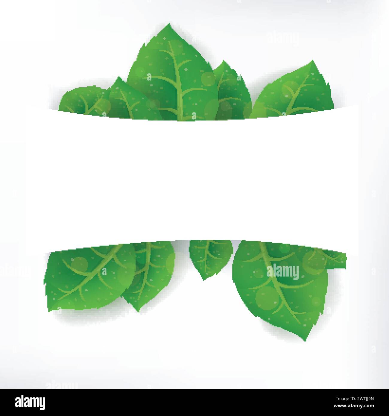 Green Leaves Banner, Vector Illustration Stock Vector Image & Art - Alamy