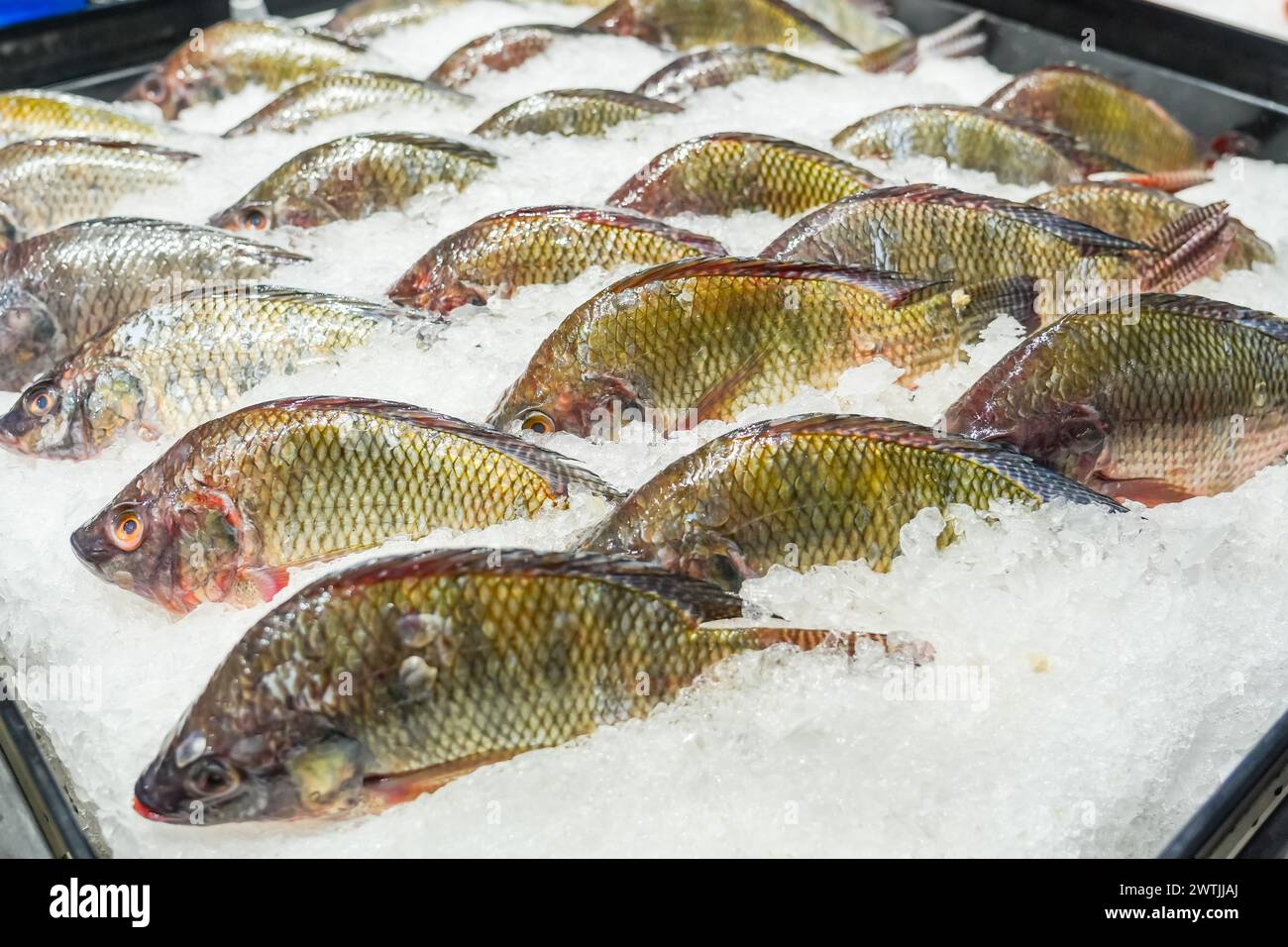 Chilled fish counter hi-res stock photography and images - Alamy