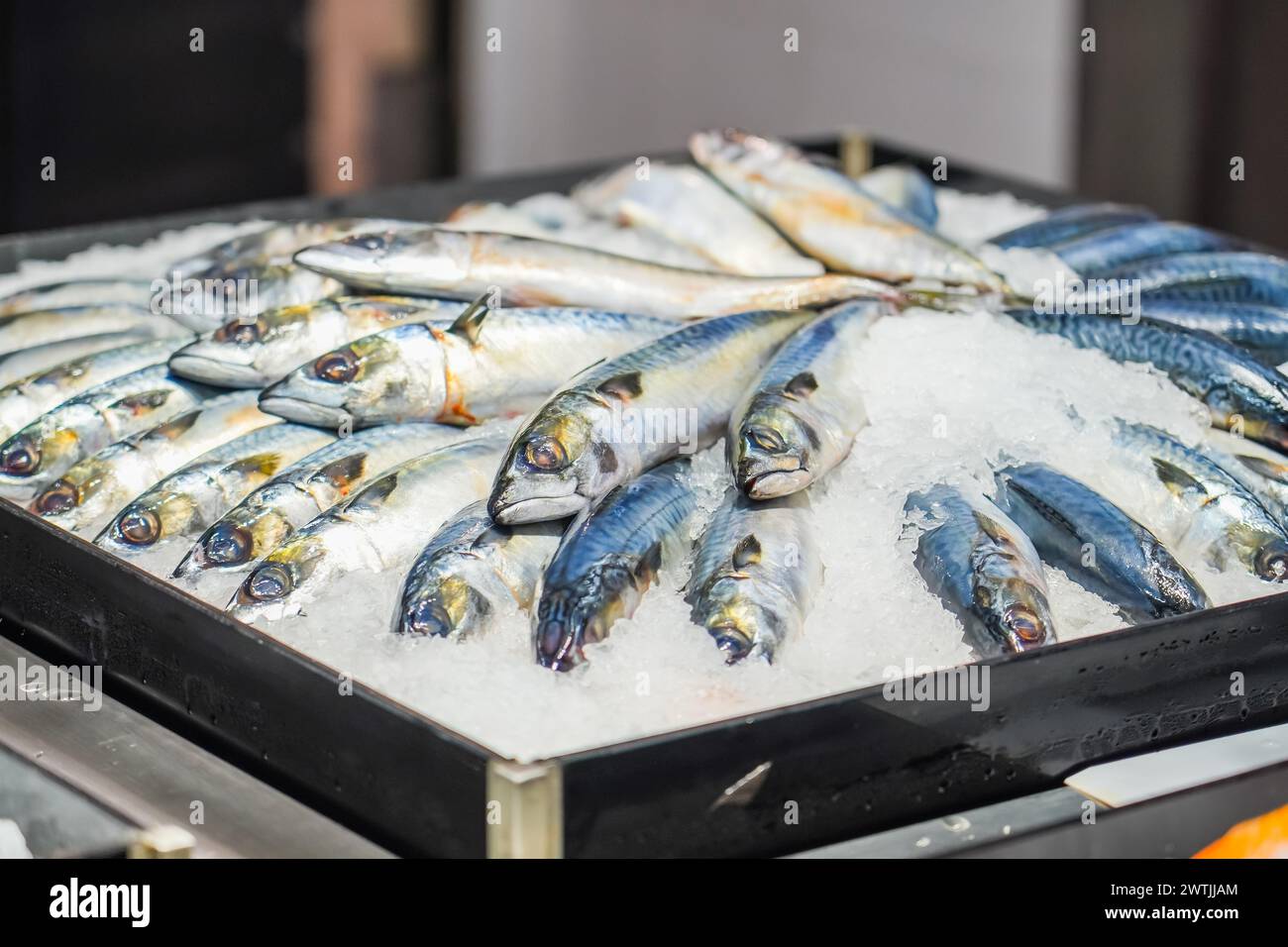 Atlantic Mackerel Fish whole at fish market for sale on ice Stock Photo ...