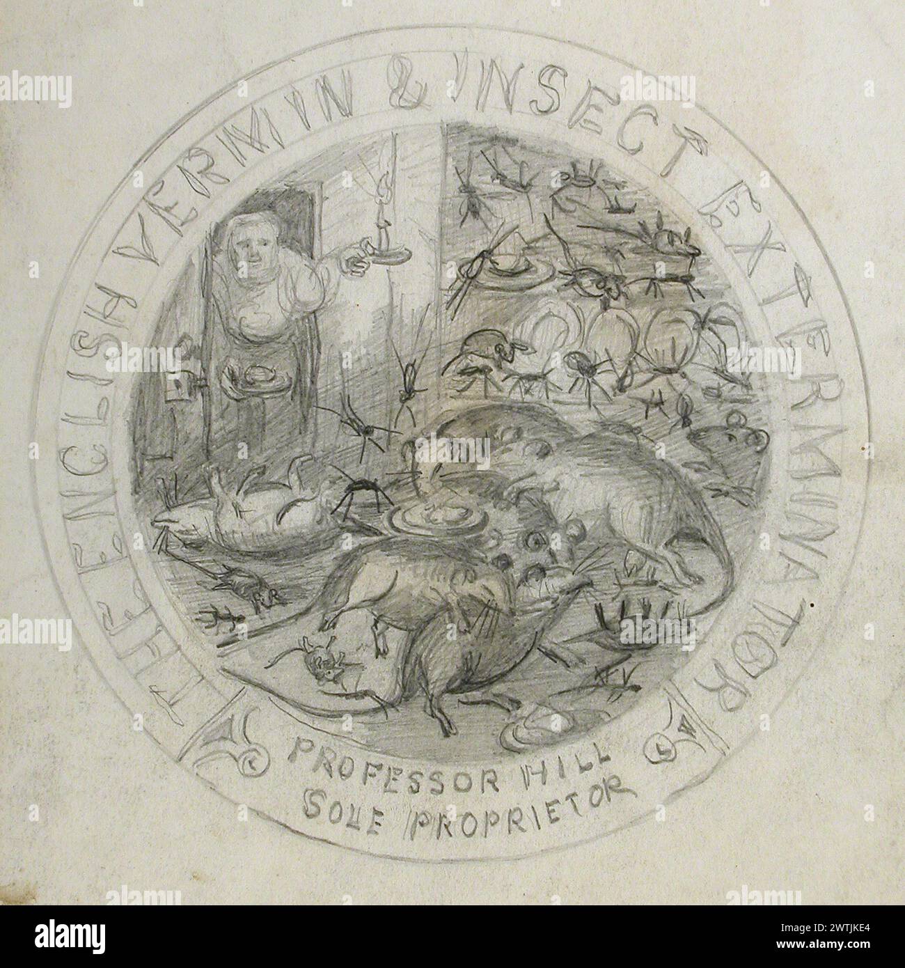 Vermin sketch hi-res stock photography and images - Alamy