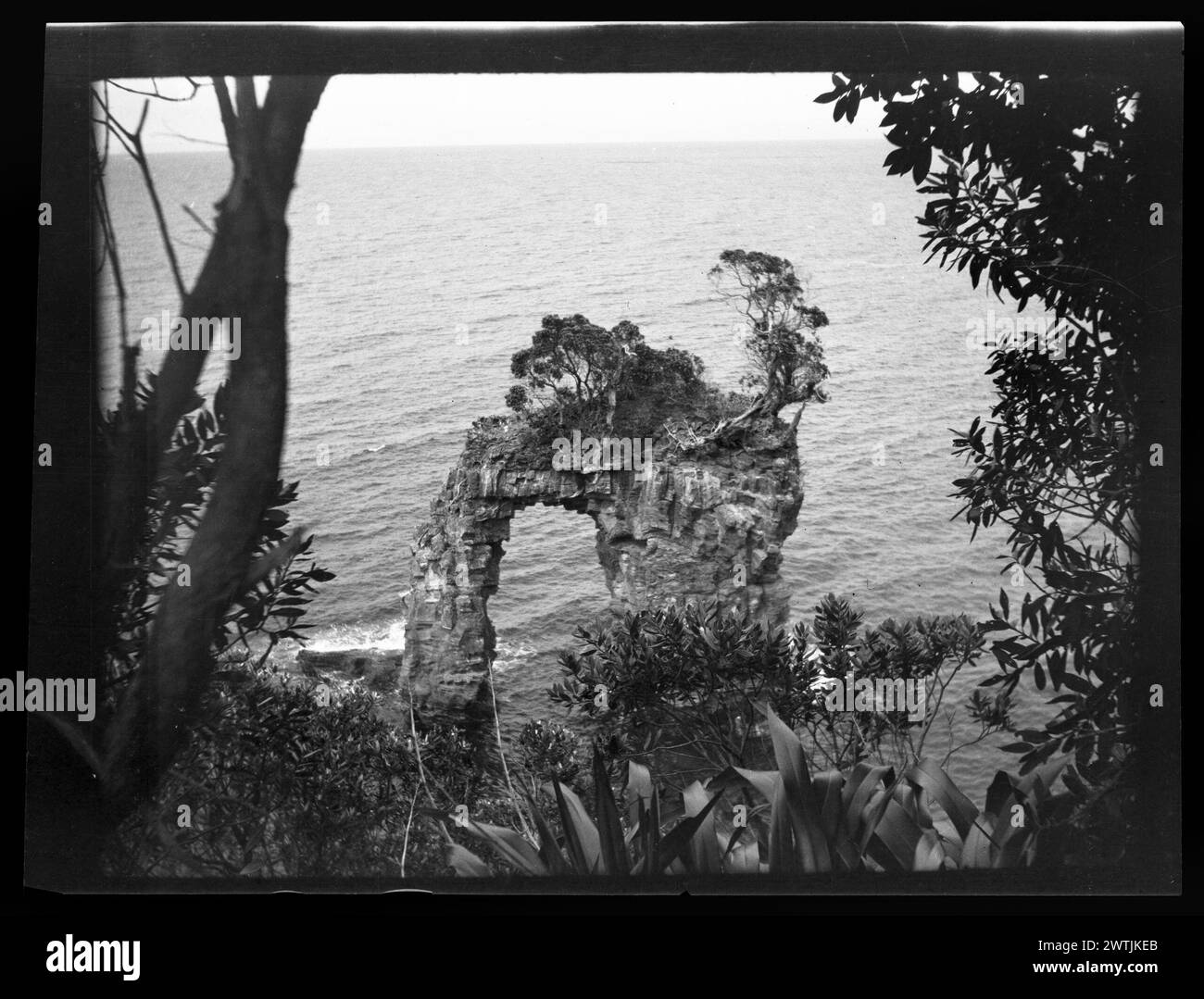 Volcanic Landforms gelatin silver negatives, black-and-white negatives ...