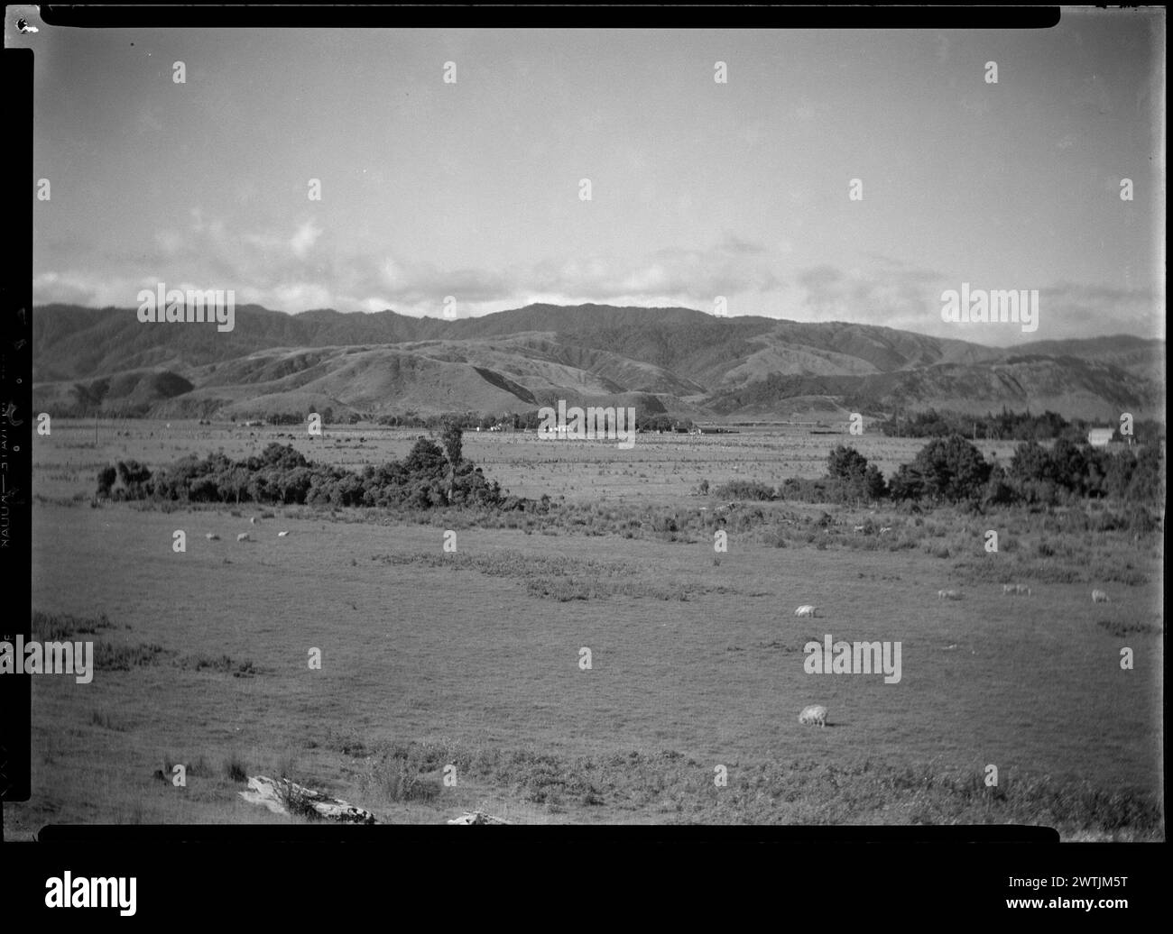 Geological : Landscapes and details Nitrate negatives, black-and-white ...
