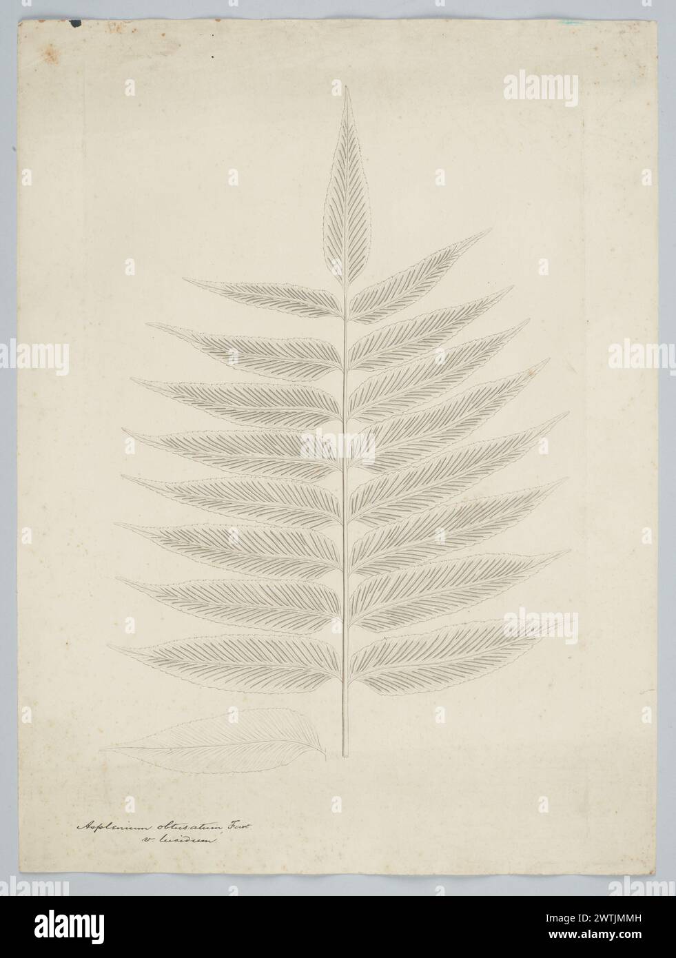 Colenso line hi-res stock photography and images - Alamy