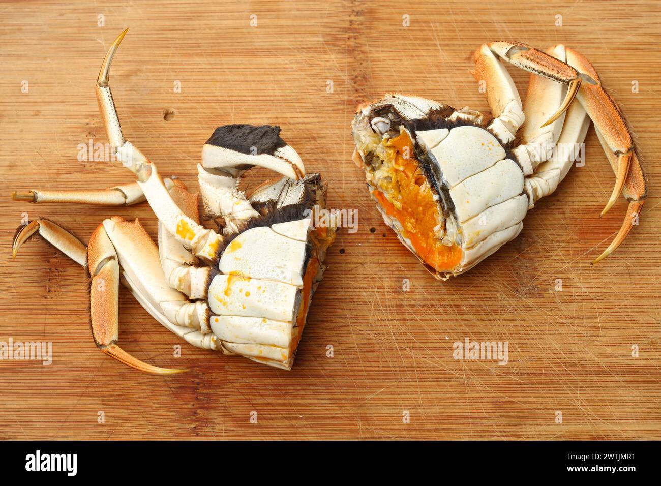 Cooked river crab isolated in white background Stock Photo - Alamy