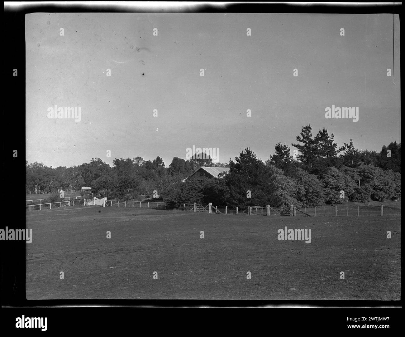 House among trees Nitrate negatives, black-and-white negatives Stock ...