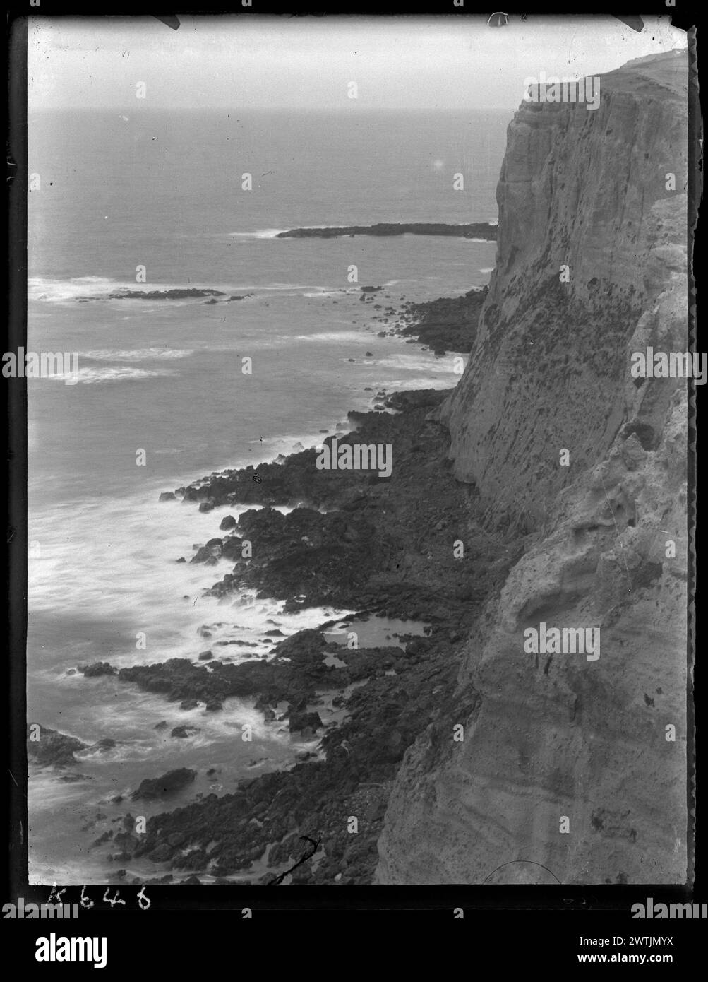 Sea cliffs : Ngaio on ridge between Low Flat and Blue Lake, Raoul ...