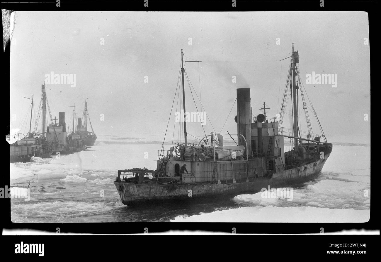 Whale catchers in the ice, Ross Sea Nitrate negatives, black-and-white ...
