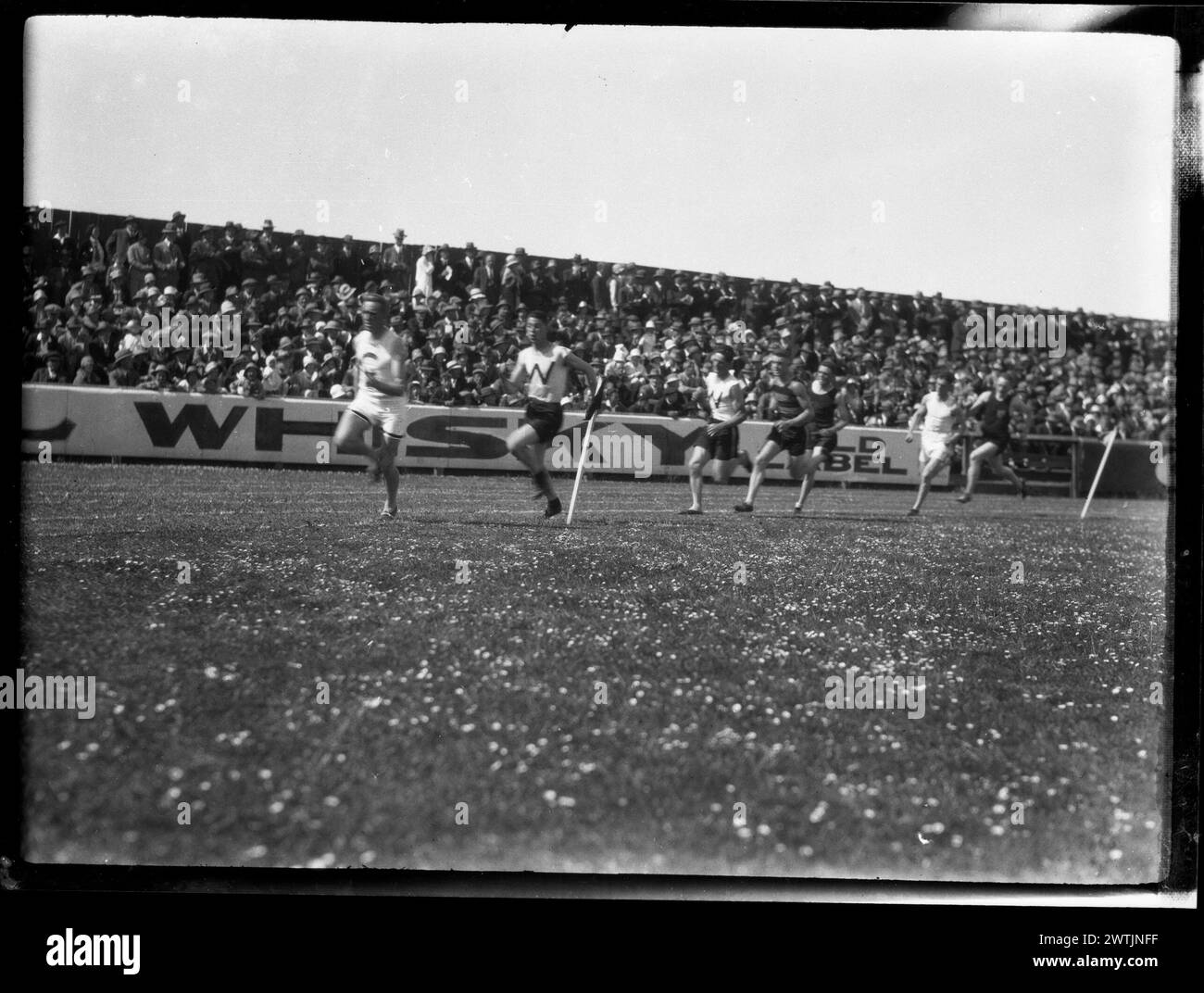 Untitled gelatin silver negatives, black-and-white negatives Stock ...
