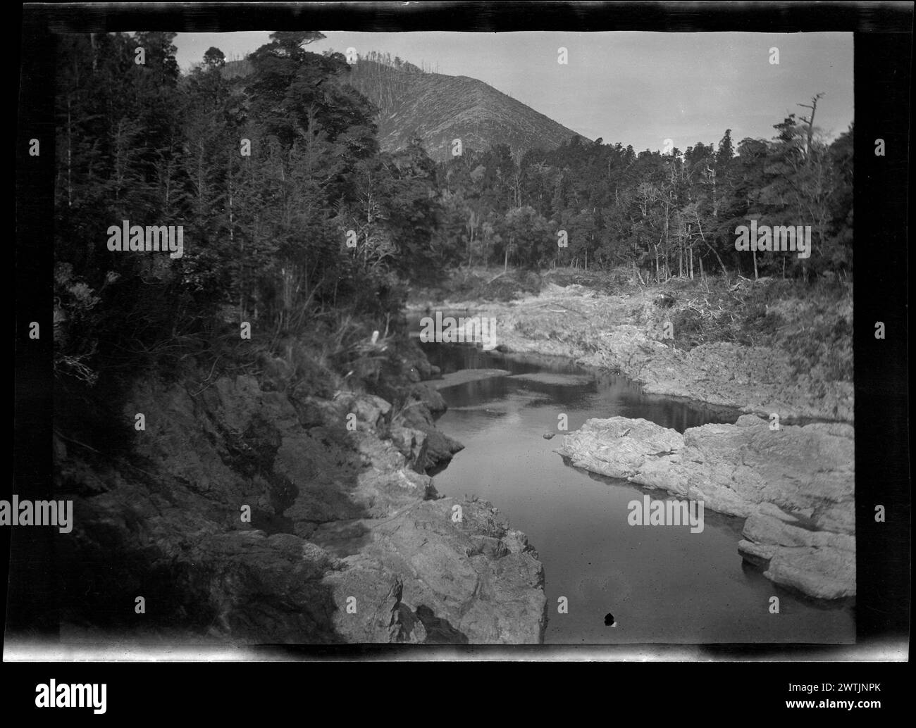 Pelorus River, Nelson Nitrate negatives, black-and-white negatives ...