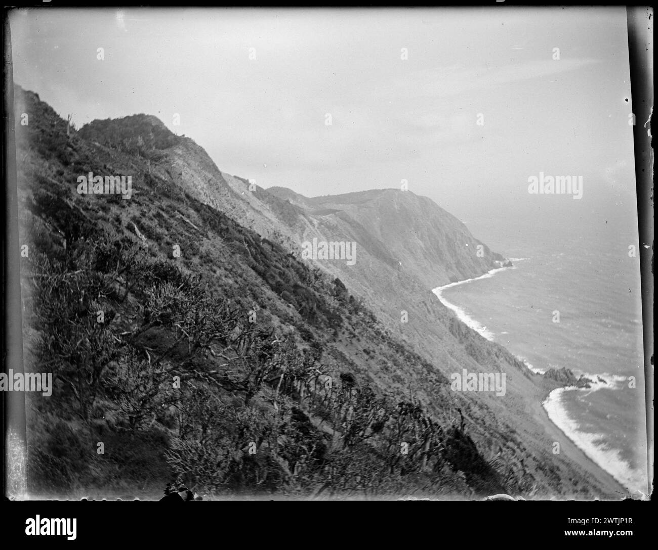 The Western cliffs of Kapiti Island showing their maximum height of ...