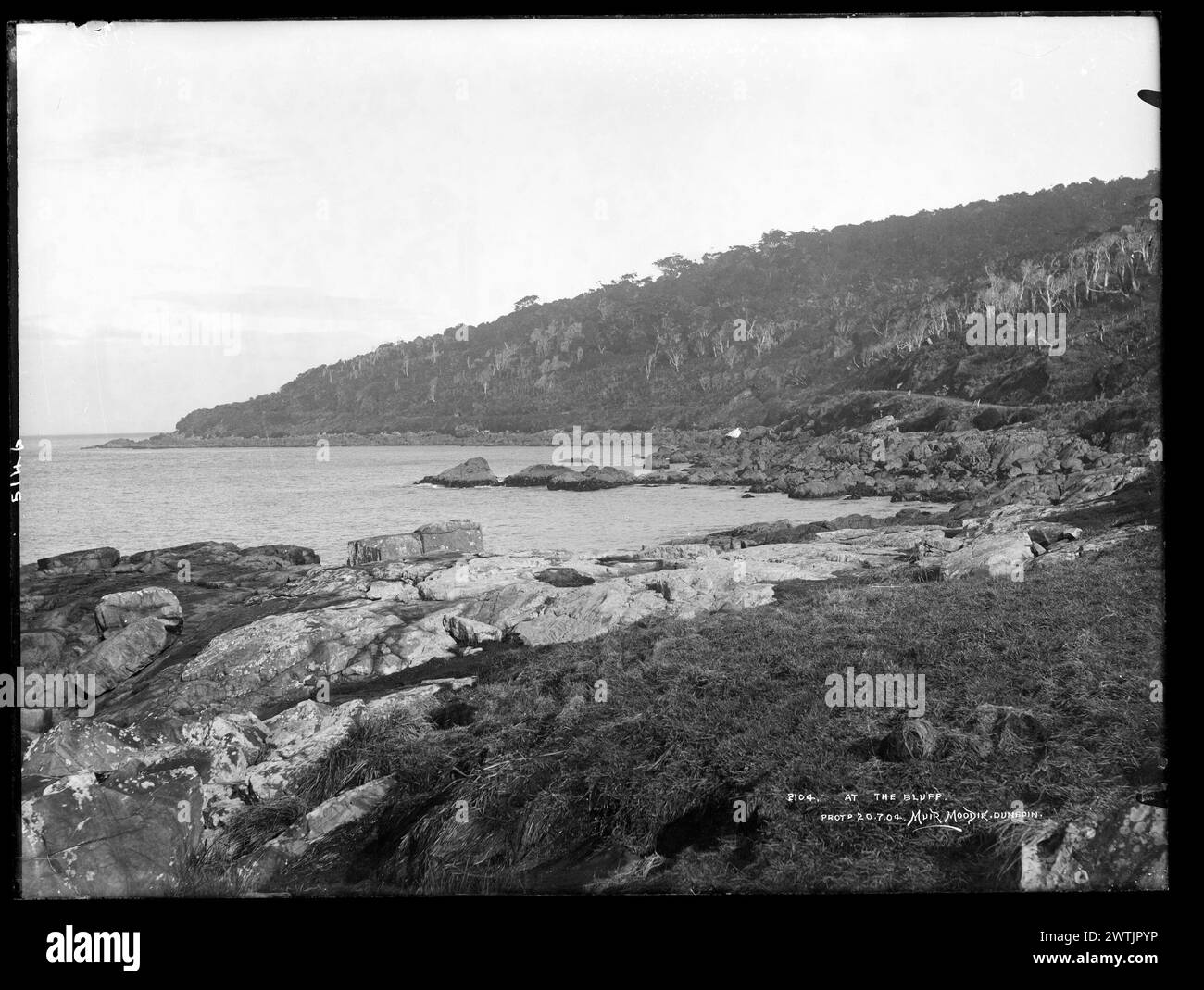 Gelatin dry plate negatives hi-res stock photography and images - Alamy