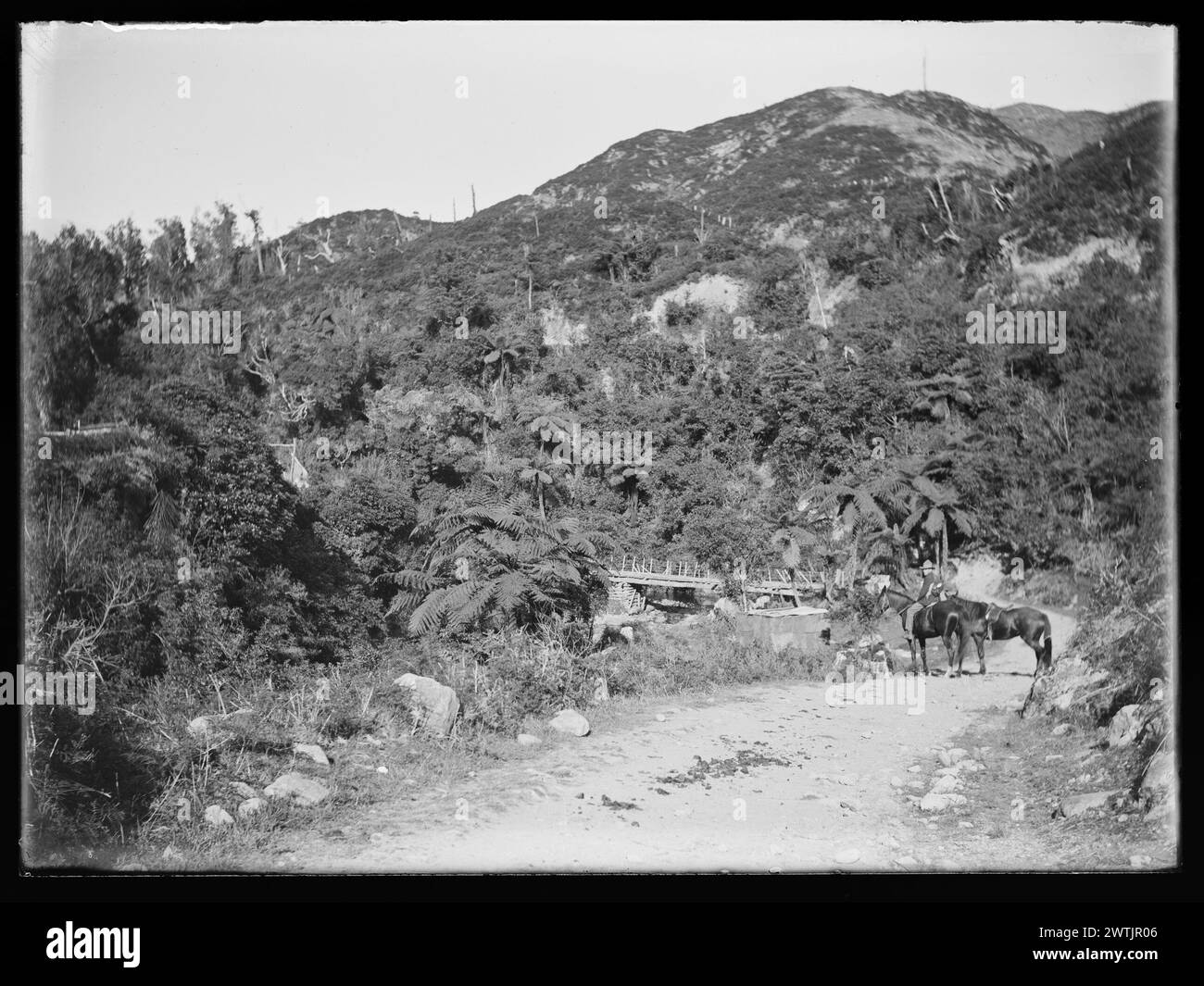 Arapeti Valley black-and-white negatives, gelatin dry plate negatives ...