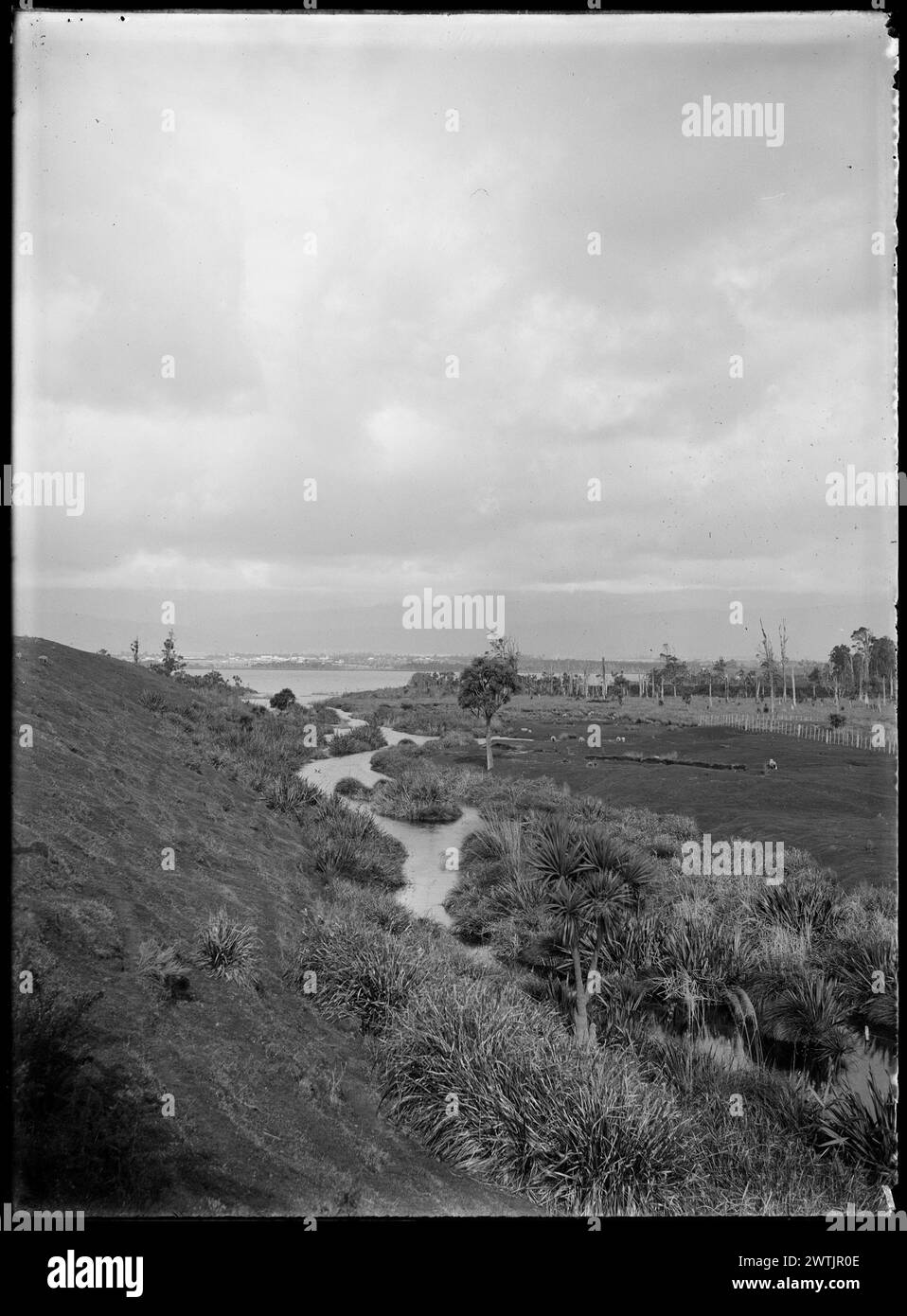 The Hokio and Lake Horowhenua black-and-white negatives, landscapes ...