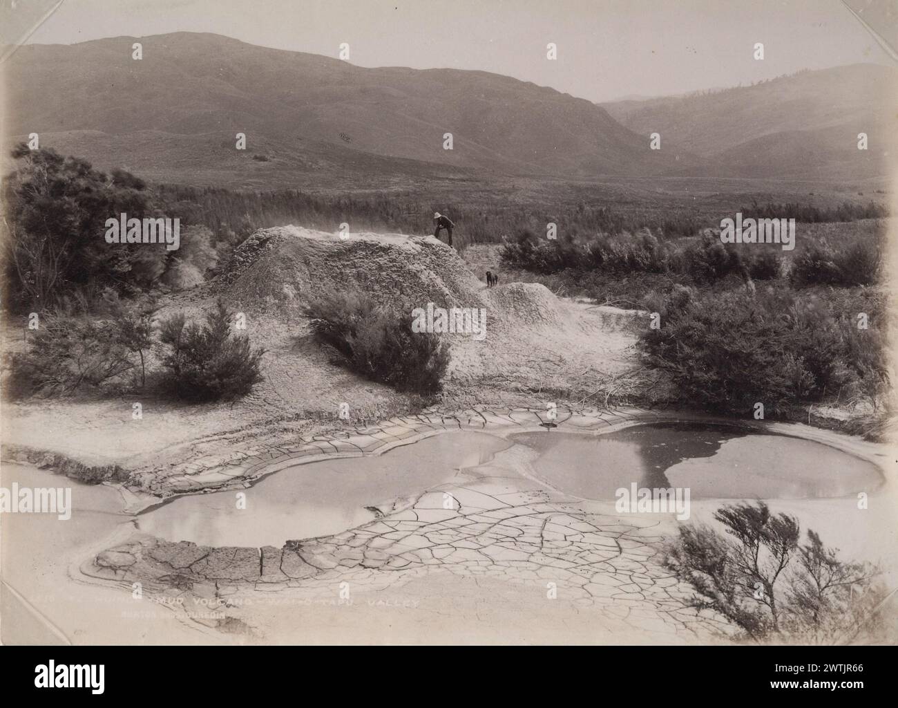 Wai o tapu valley te huinga hi-res stock photography and images - Alamy