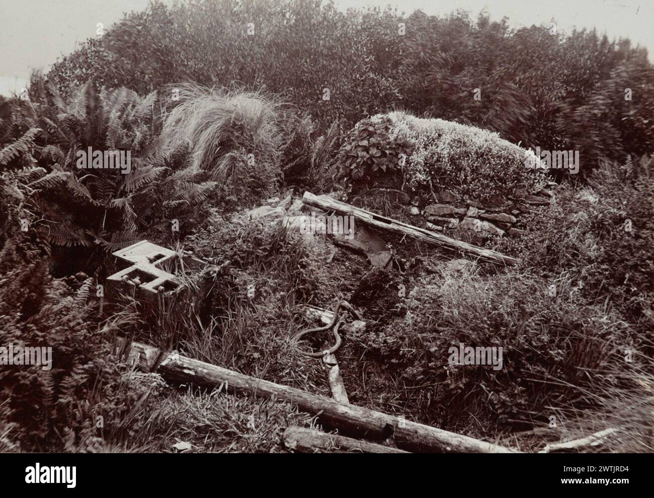 Remains of wreck of the Grafton, Carnley Harbour. From the album: [1907 ...