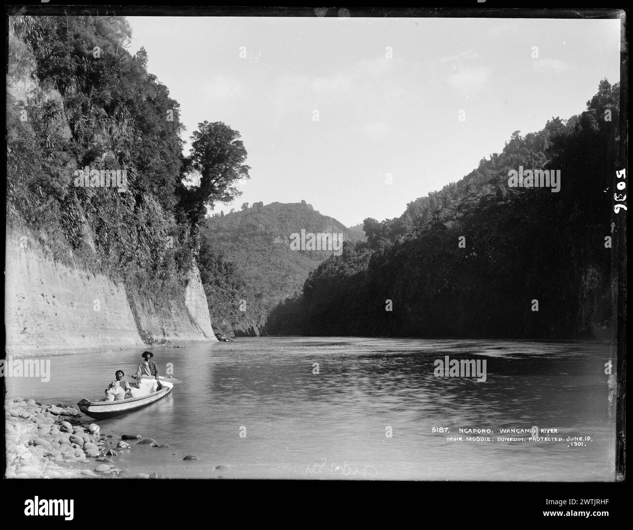 Wanganui river ngaporo hi-res stock photography and images - Alamy