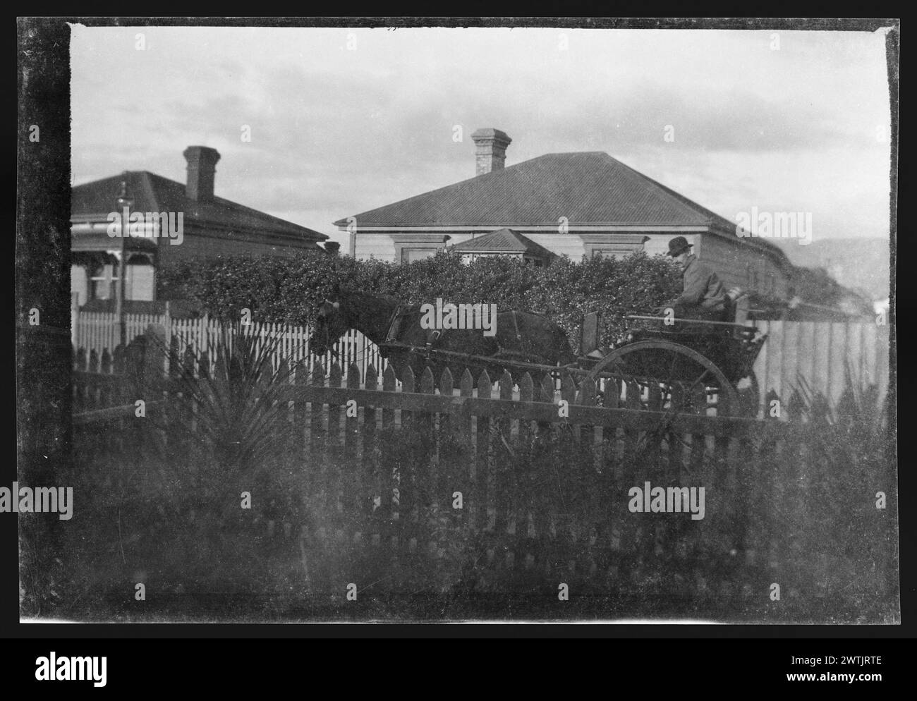 Petone Nitrate negatives, black-and-white negatives Stock Photo - Alamy