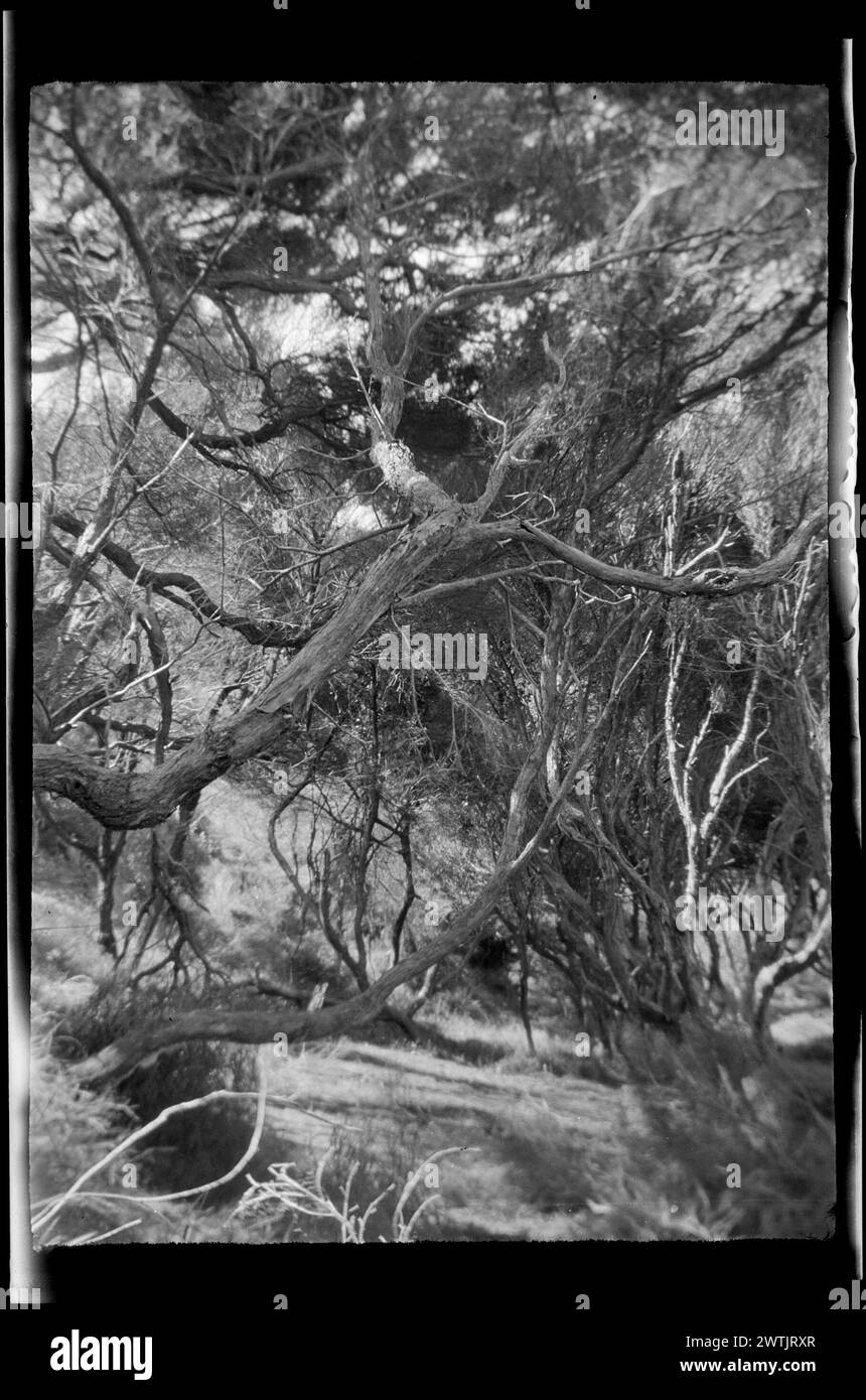 Kapiti coast countryside hi-res stock photography and images - Alamy