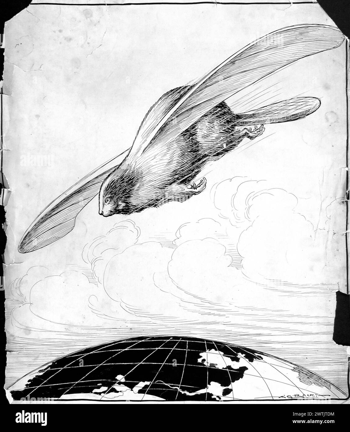 Cartoon - The Flying Beaver Arthur George Racey (1870-1941 Stock Photo ...