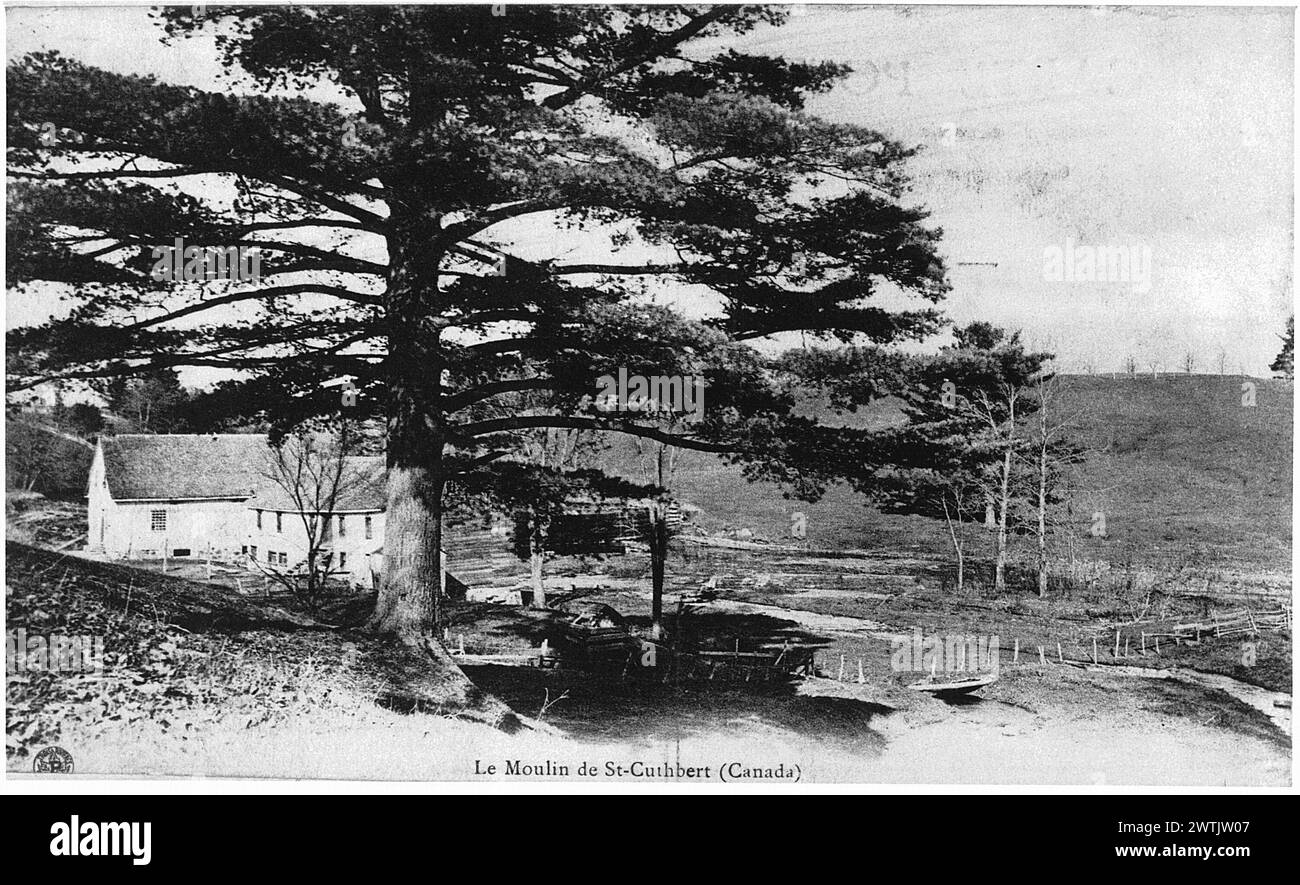 Cuthbert Cut Out Stock Images & Pictures - Alamy