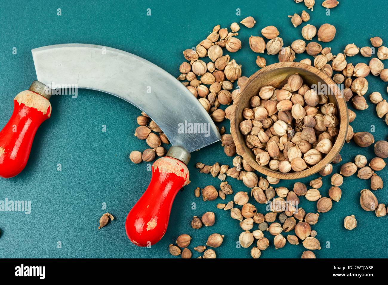 White dried cardamom pods in a wooden bowl and knife, spice Stock Photo ...