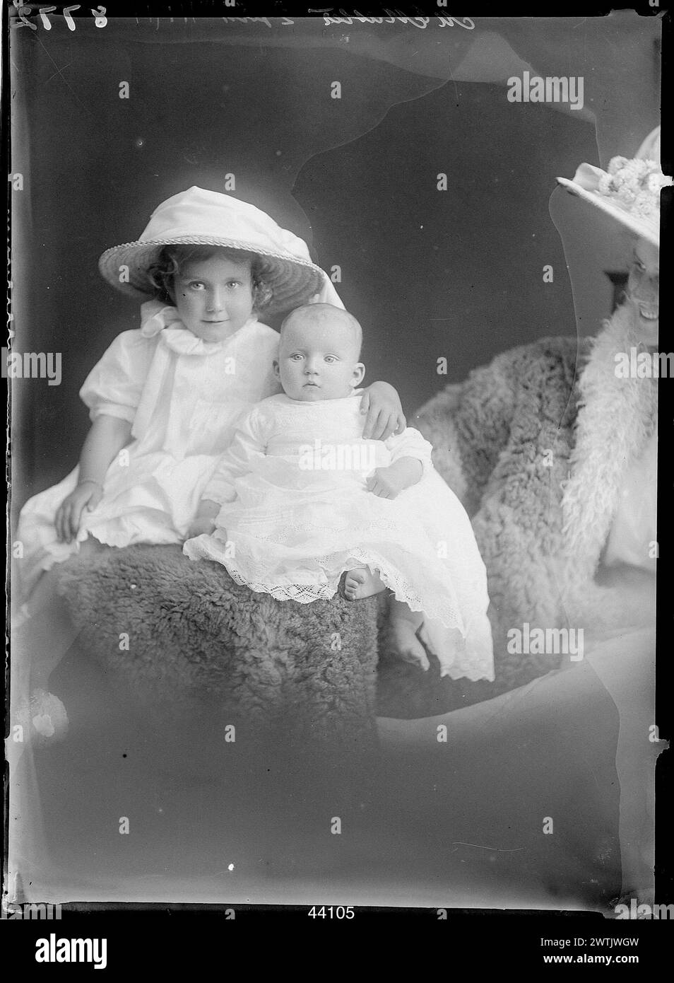 Marter black-and-white negatives, gelatin dry plate negatives ...