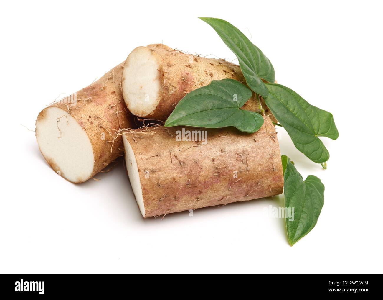 yam with leaf on white background Stock Photo - Alamy