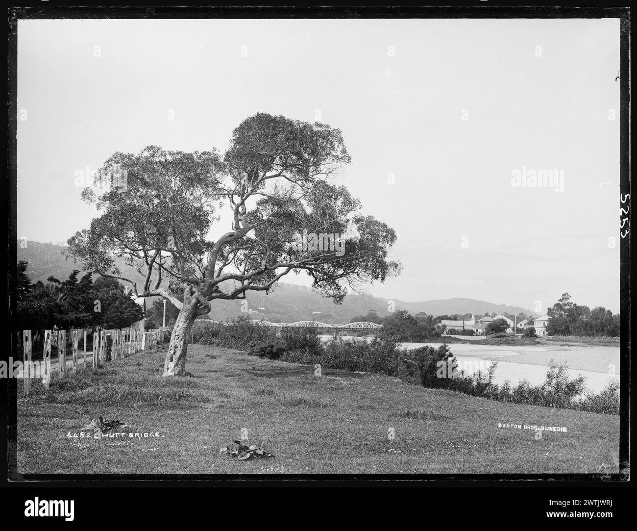 Hutt Bridge gelatin dry plate negatives, black-and-white negatives ...