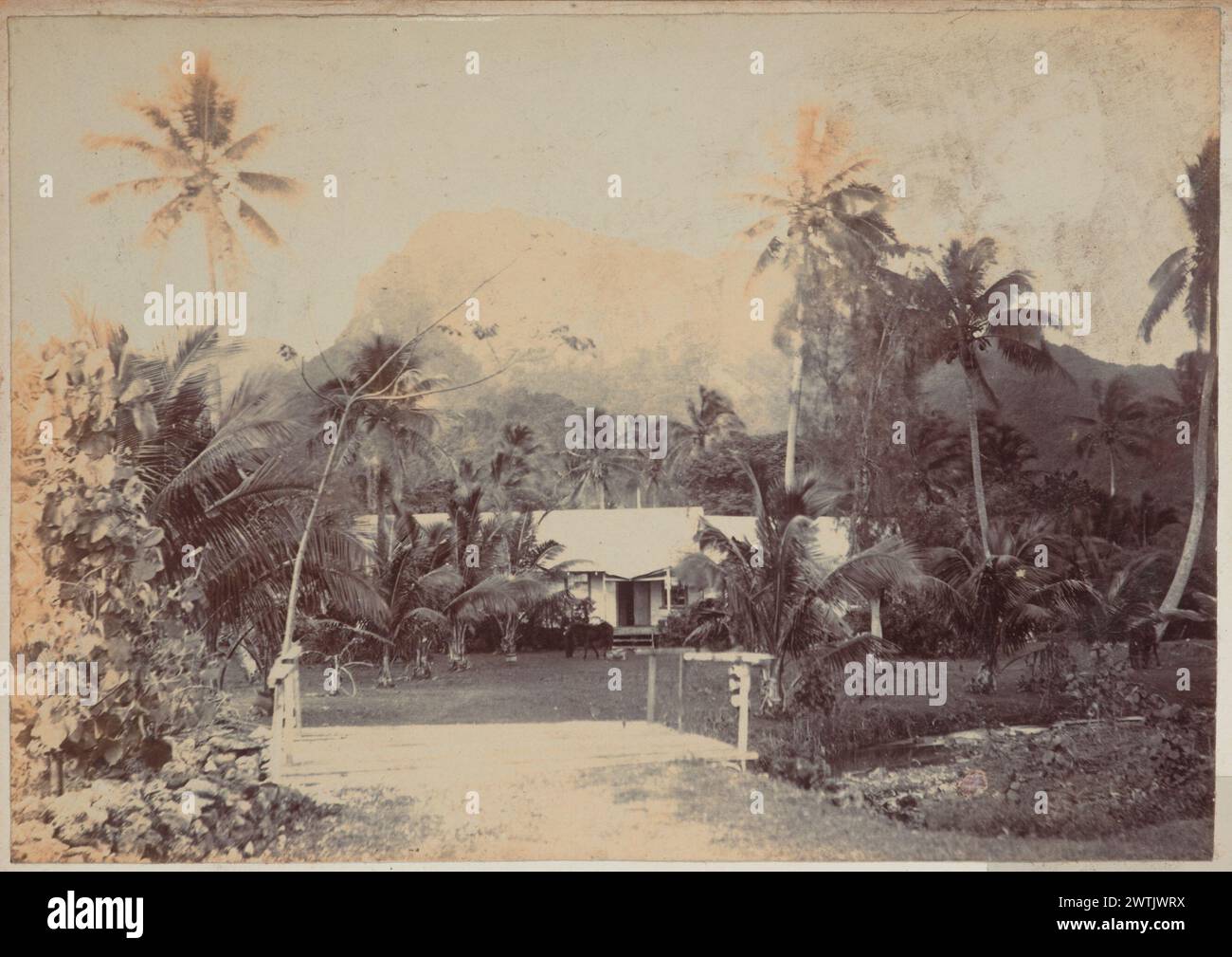 Cook islands from the album hi-res stock photography and images - Alamy