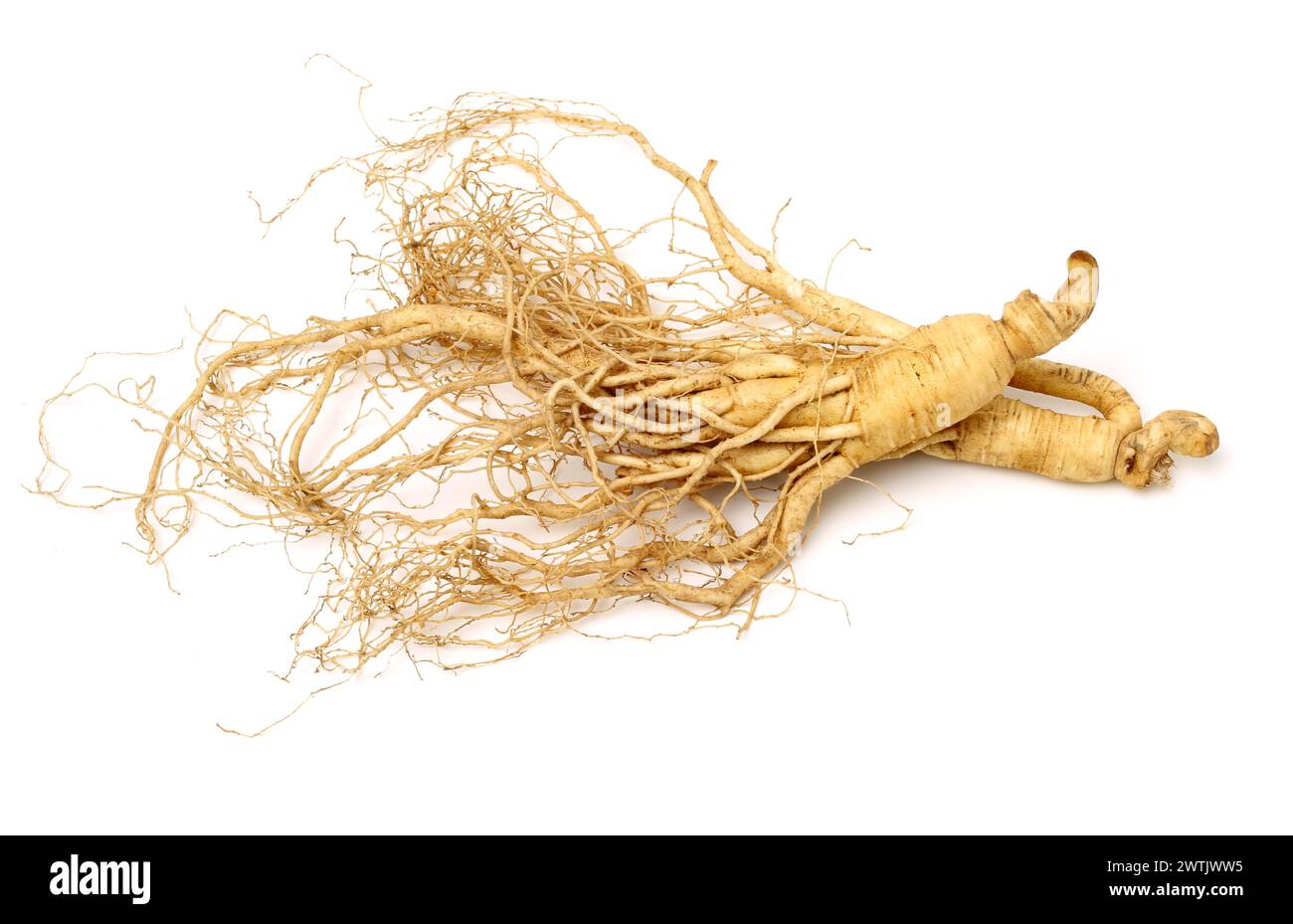 Ginseng roots on a white background Stock Photo - Alamy
