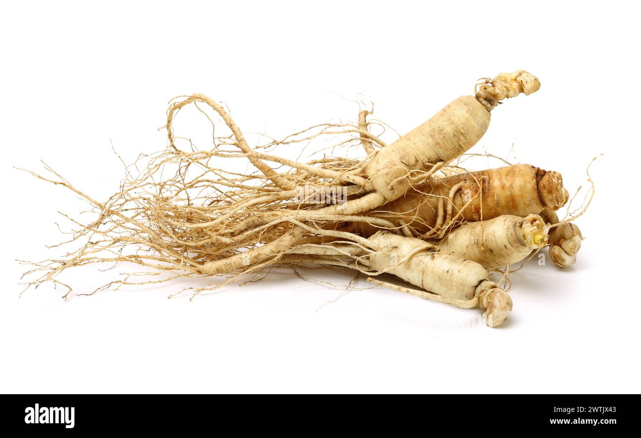 Ginseng roots hi-res stock photography and images - Alamy