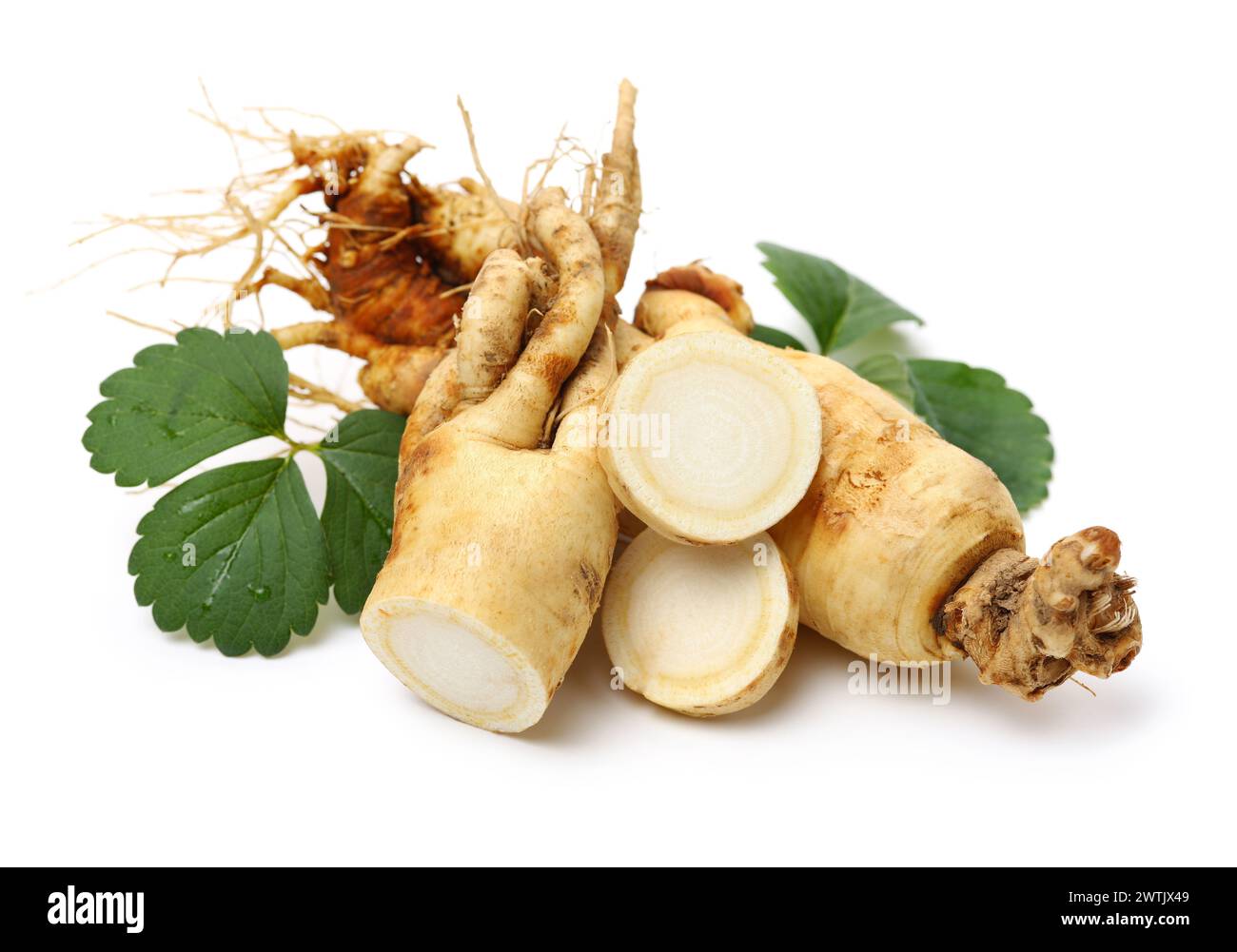 Ginseng roots on a white background Stock Photo - Alamy