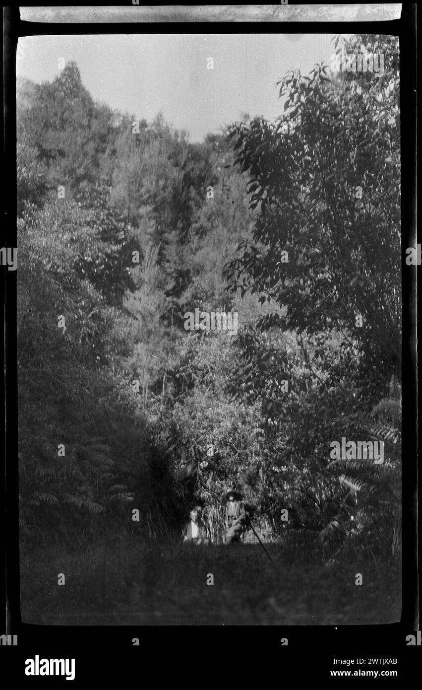People among trees black-and-white negatives, Nitrate negatives Stock ...