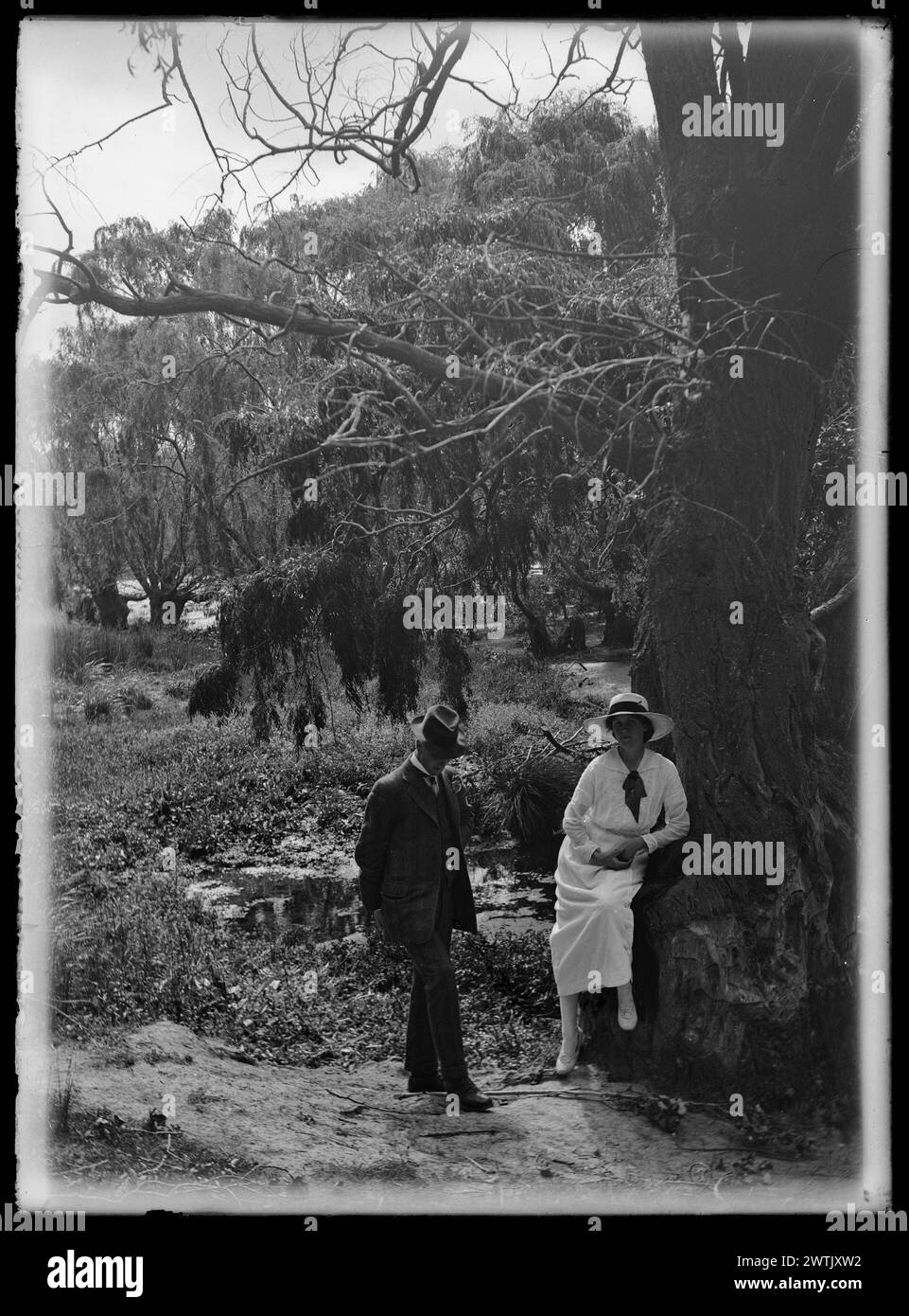 Gelatin dry plate negatives hi-res stock photography and images - Alamy