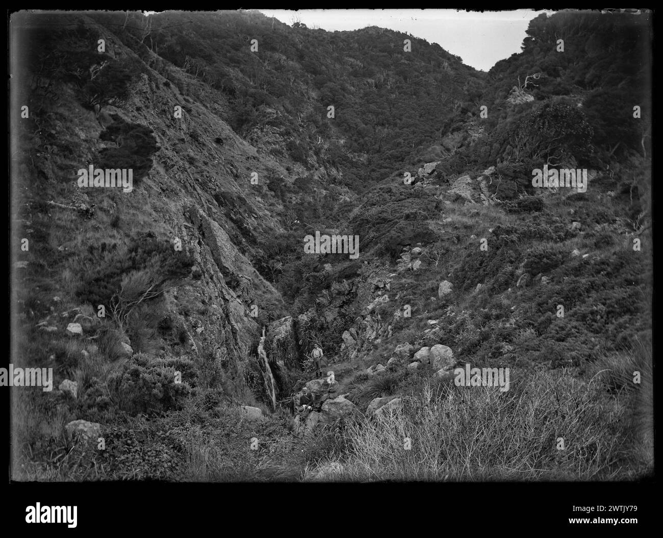 Black gully creek hi-res stock photography and images - Alamy