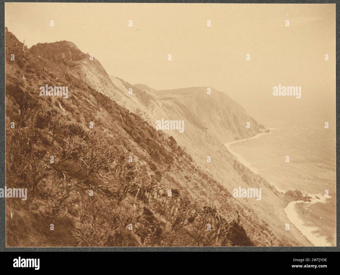 The Western cliffs of Kapiti Island showing their maximum height of ...