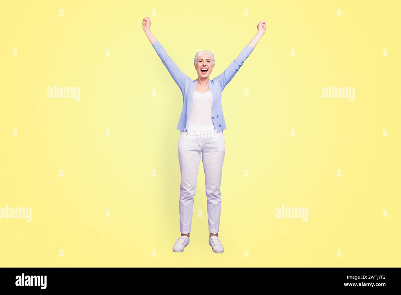 Full length size body vertical portrait of grey haired old confident ...