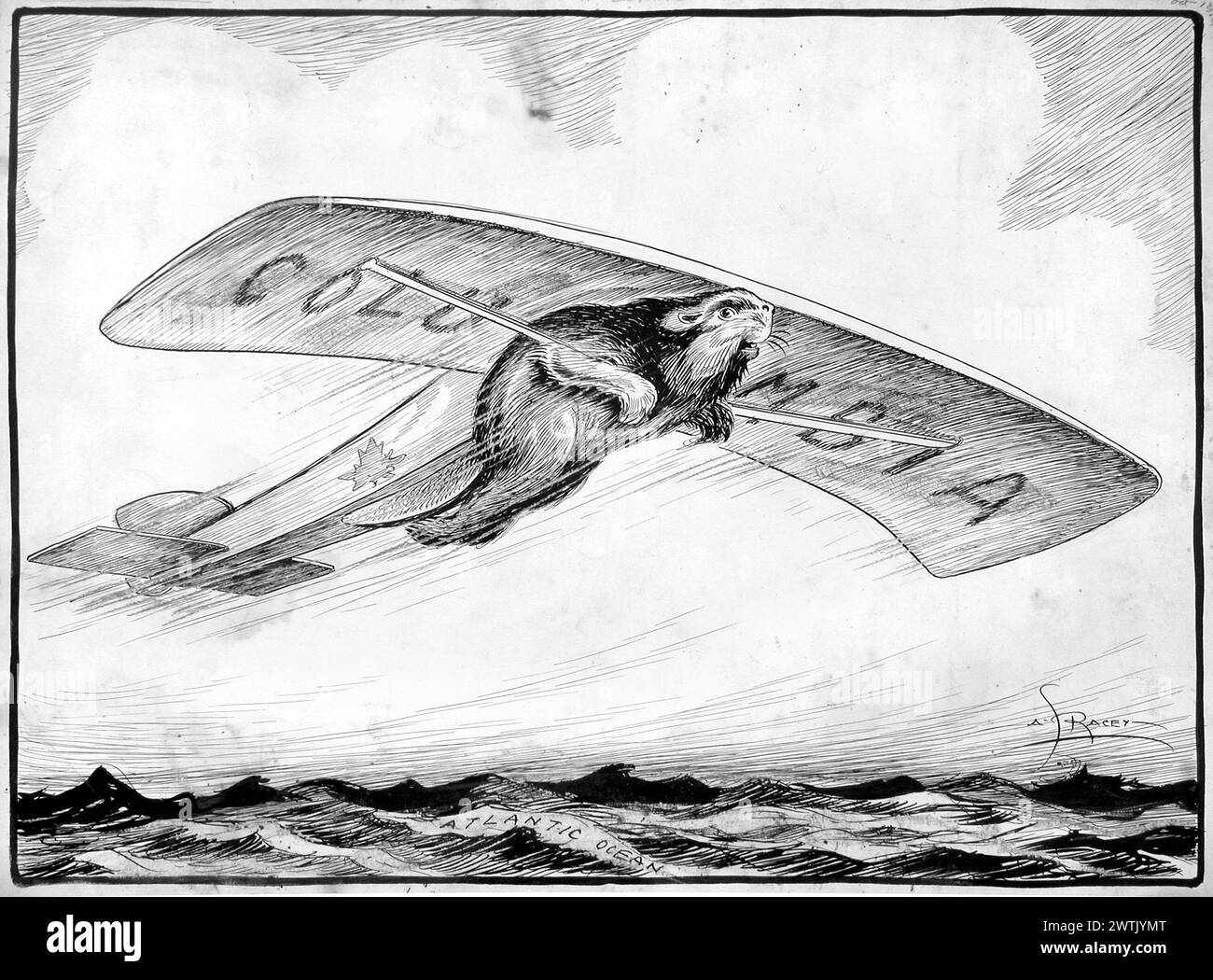 Cartoon - A Notable Achievement Arthur George Racey (1870-1941 Stock ...