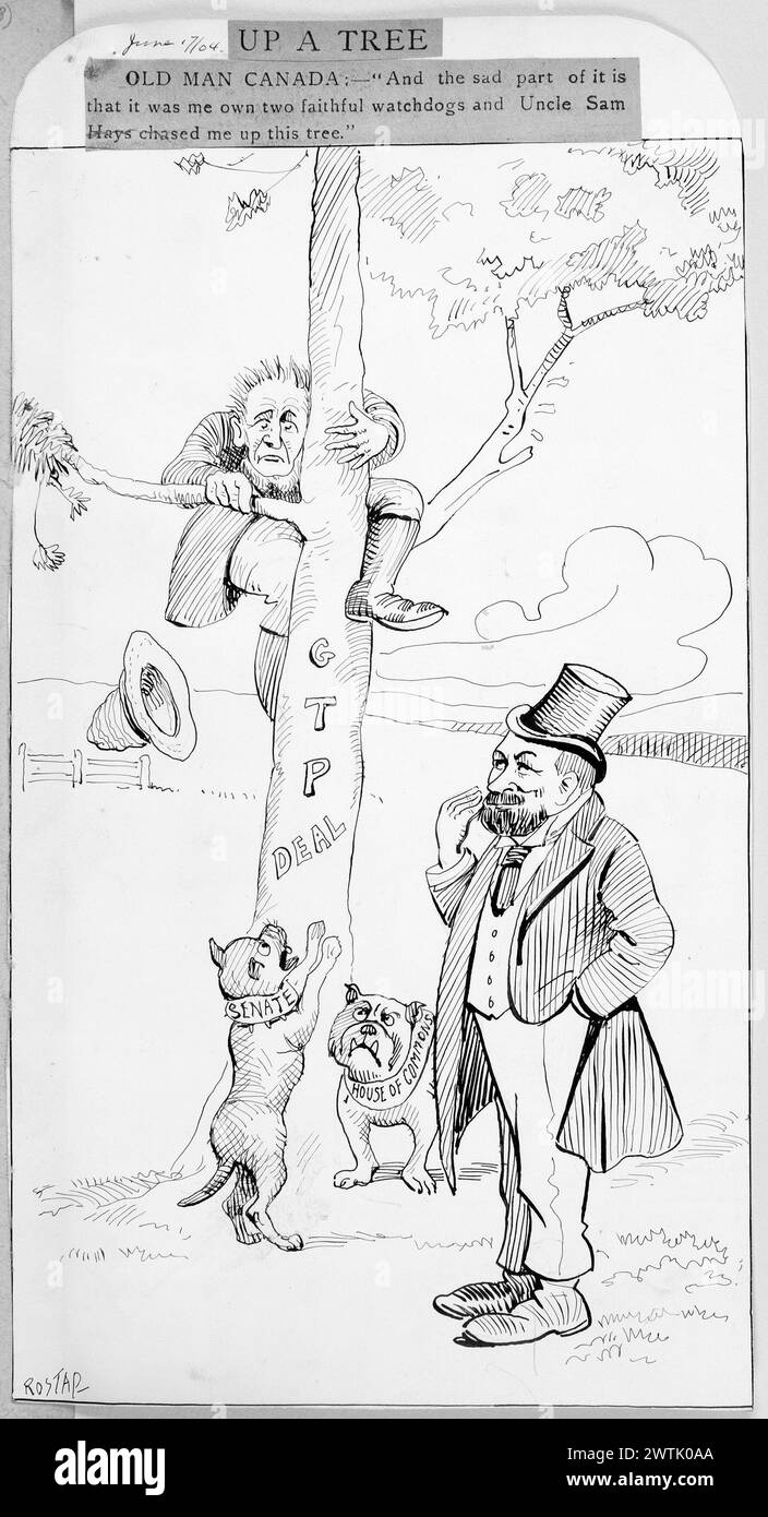 Cartoon - Up a Tree Rostap (1866-1949 Stock Photo - Alamy