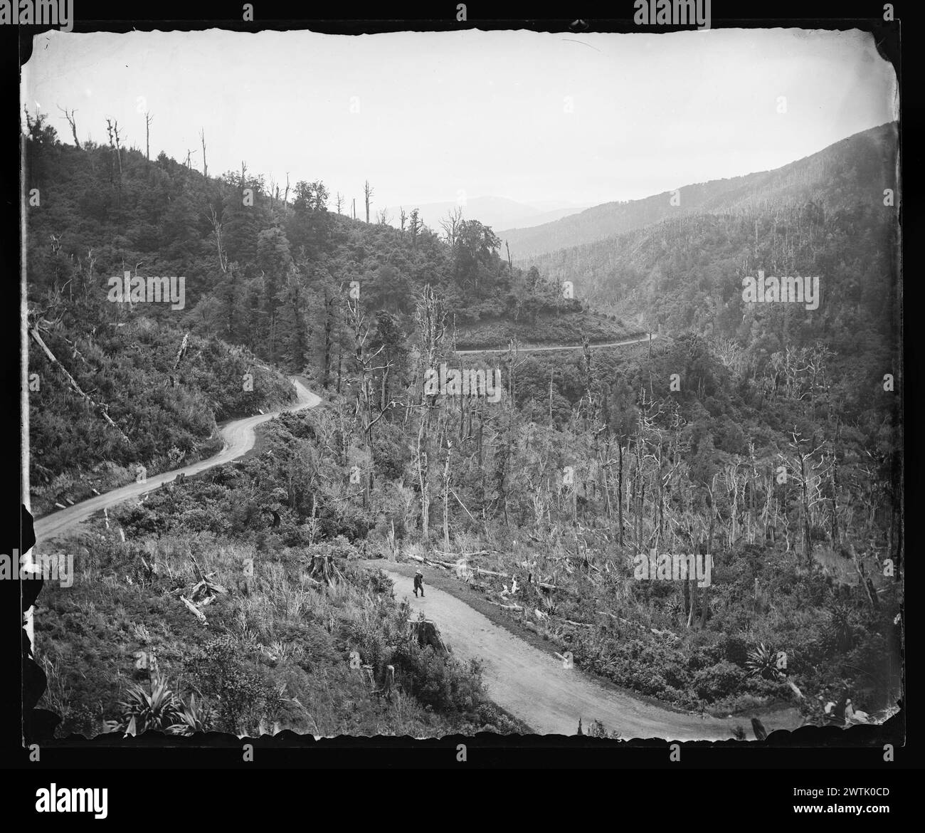 Bushy Bend, Red Clay Point, Remutaka [Rimutaka] Hill, looking down ...