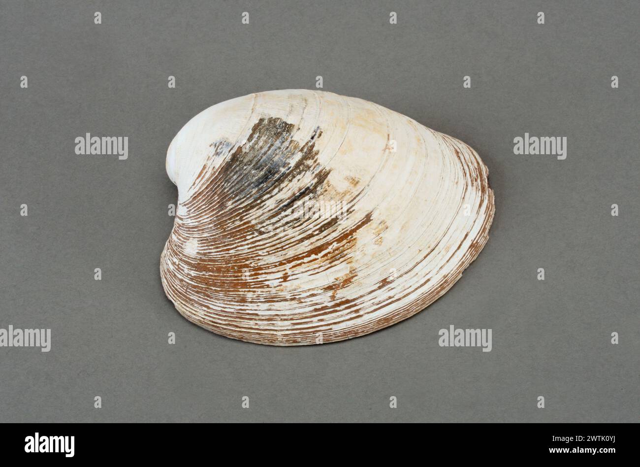 Material sample Stock Photo - Alamy