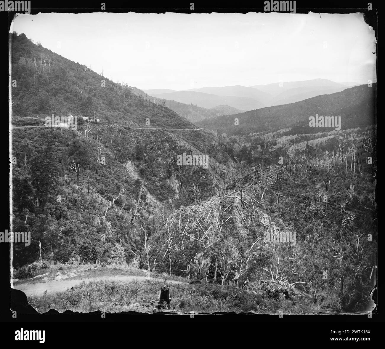 Halfway up the Remutaka [Rimutaka] Hill, Wellington side looking down ...