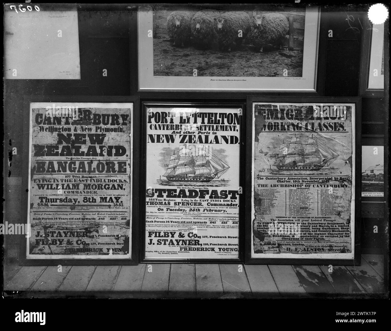 Promotional designs Black and White Stock Photos & Images - Alamy