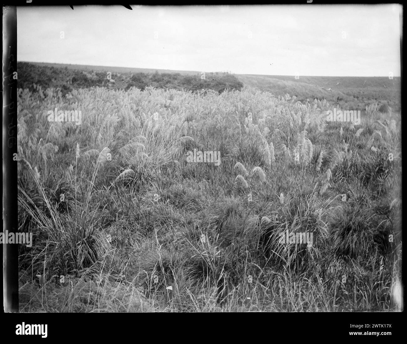 Ecology plate Black and White Stock Photos & Images - Alamy